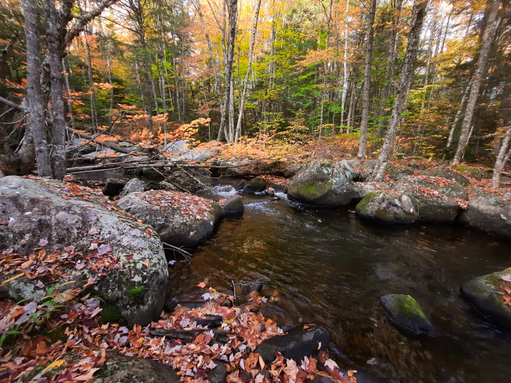 Humboldt Field Research Institute | Eagle Hill Foundation | Steuben, Maine